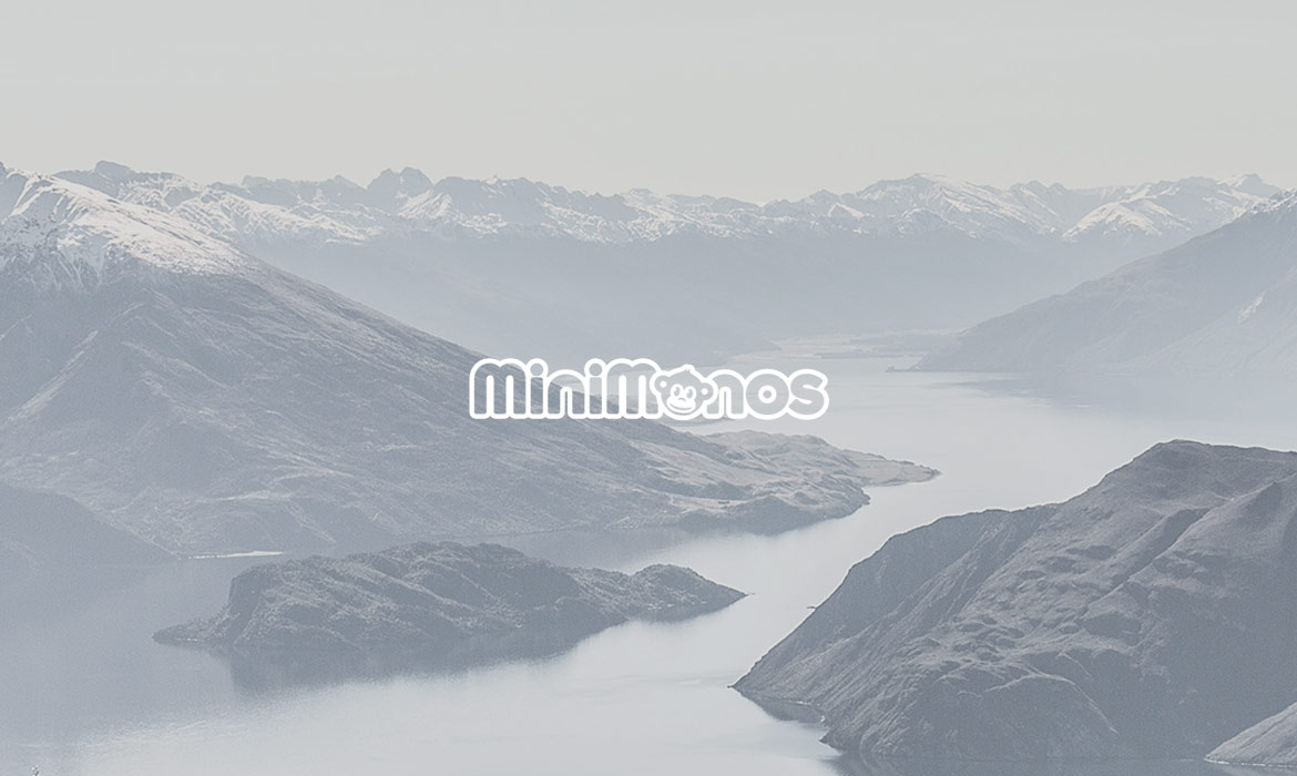 MINIMONOS | Movac | Venture Capital